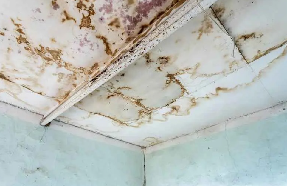 How to Spot Condensation Issues in Insulated Roof | Bros Roofing